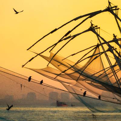 Cochin - Rajasthan Moments